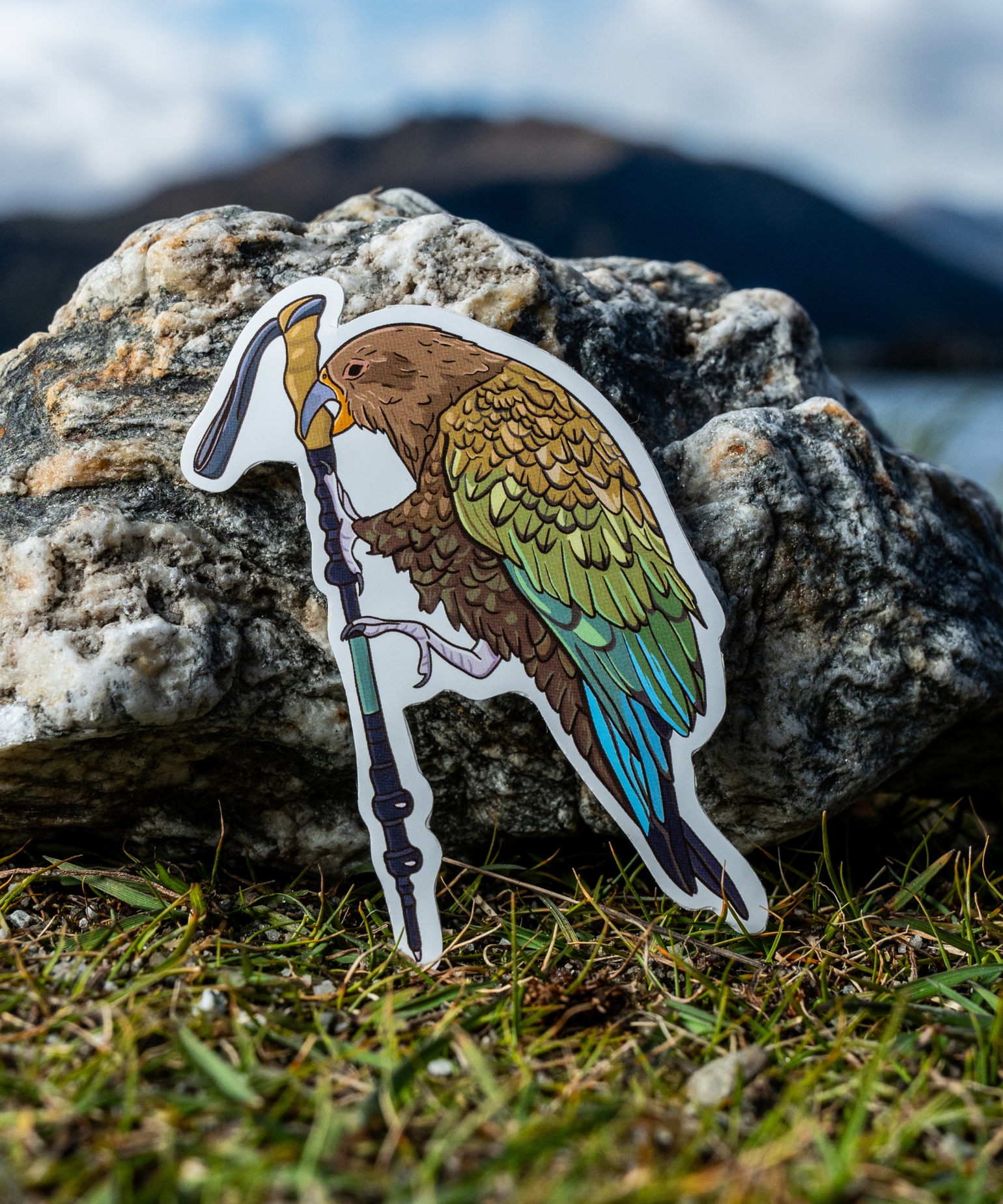 Naughty Kea Sticker - New Zealand's Best Stickers | Hike Aotearoa ...